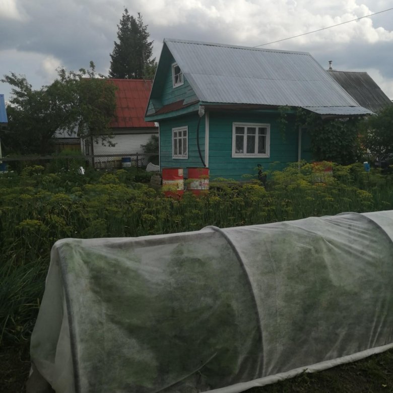 Дача – купить в Вологде, цена 380 000 руб., дата размещения: 05.10.2023 – Продажа участка