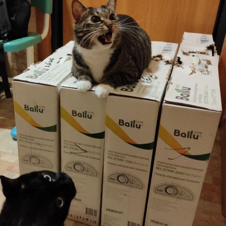 Конвектор электрический ballu – купить в Хабаровске, цена 17 000 руб ...