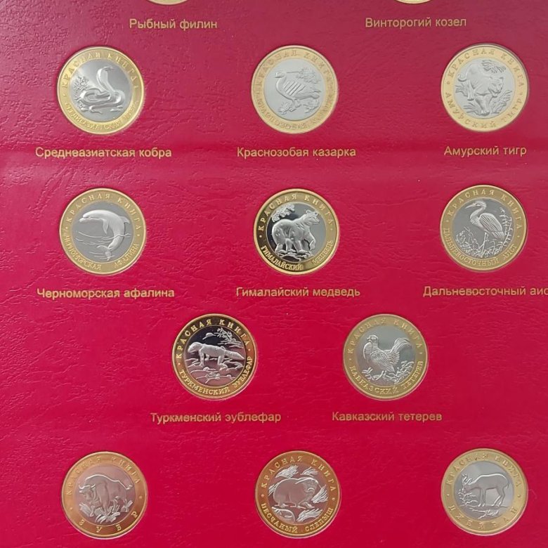 Продаю набор монет "Красная Книга" КОПИИ – купить в Пензе, цена 500 руб ...