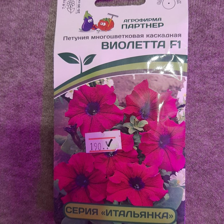 Рассада петунии – купить в Санкт-Петербурге, цена 10 руб., дата ...