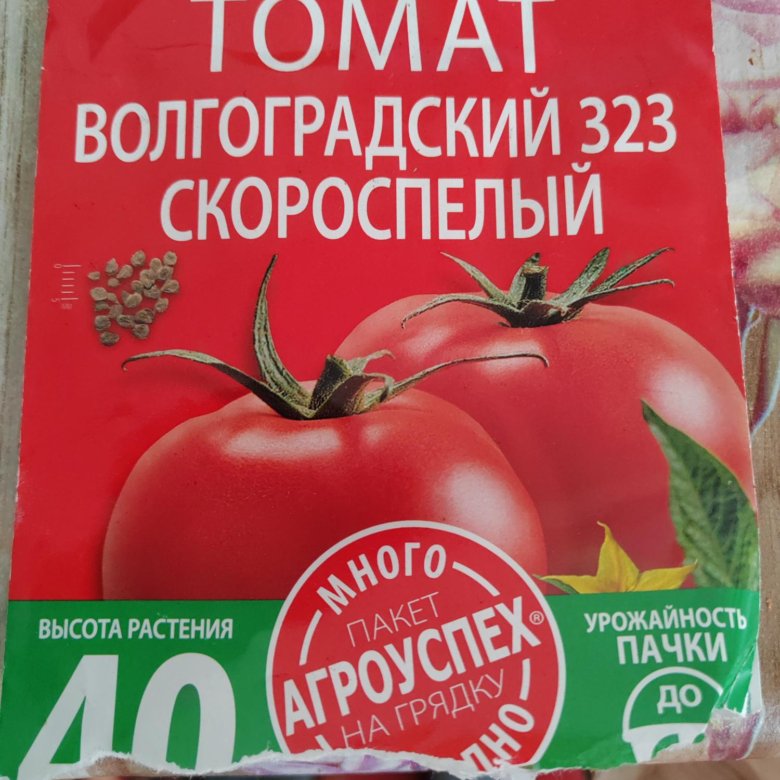 Продам рассаду. – купить в Тюмени, цена 30 руб., дата размещения: 19.04 ...
