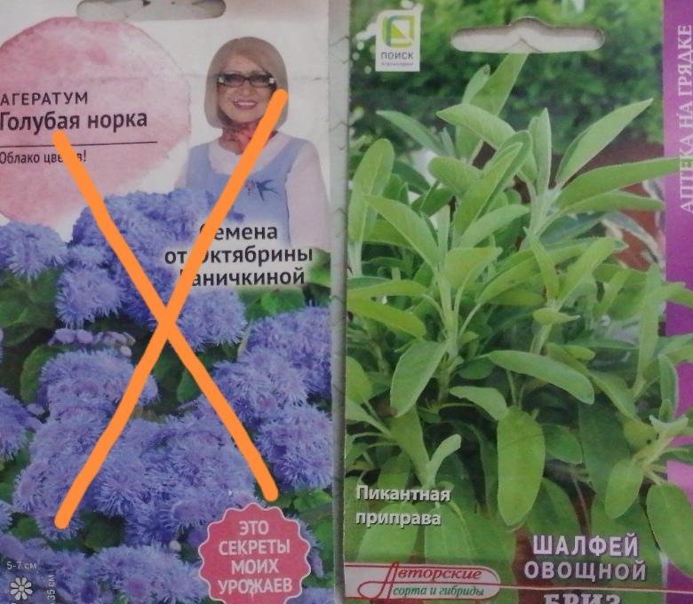 Рассада( амарант, флоксы , шалфей овощной, люпин) – купить в Якутске ...