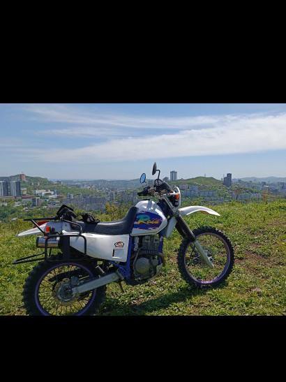 Yamaha ttr 250 Raid – купить в Владивостоке, цена 315 000 руб., дата ...