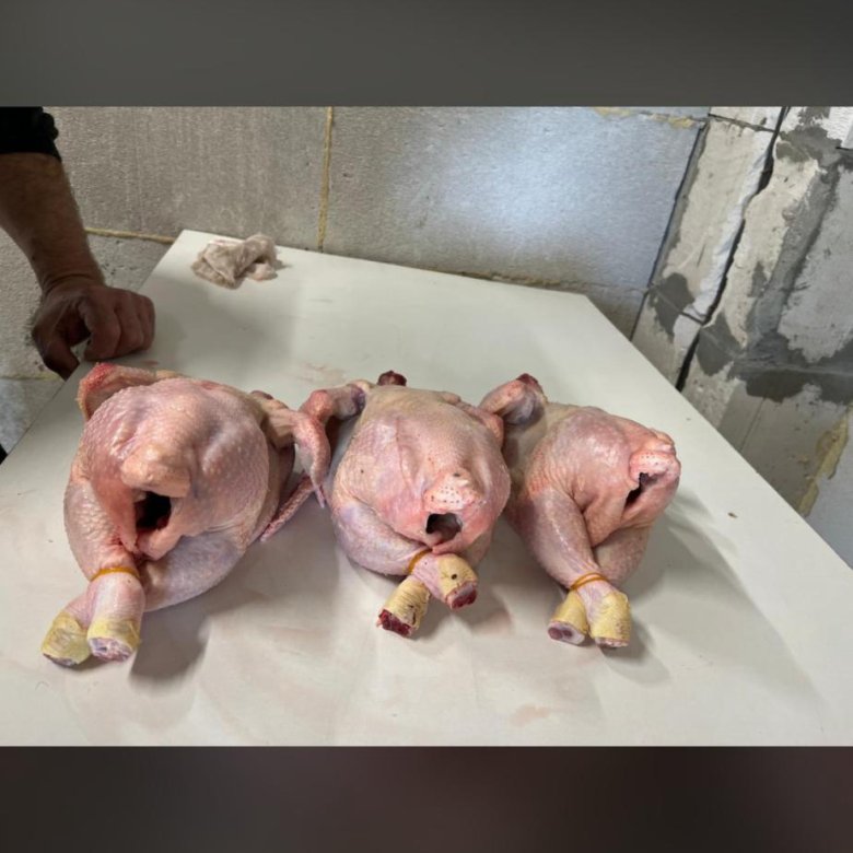 Мясо бройлер в наличии – купить в Новошахтинском, цена 400 руб., дата ...
