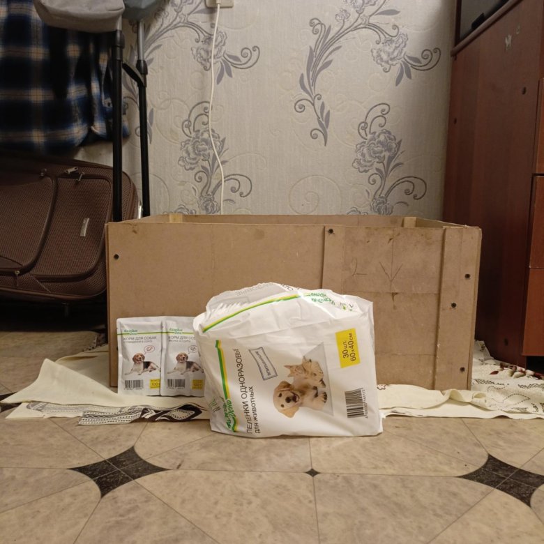 Таксюля купить в Пензе цена 6 000 руб дата размещения 09 12 2024 Собаки