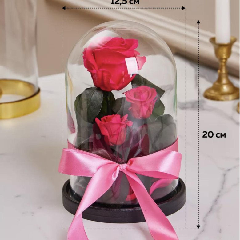 Живые цветы в колбе купить в Зеленограде цена 4 000 руб дата размещения 27 01 2025 Украшения