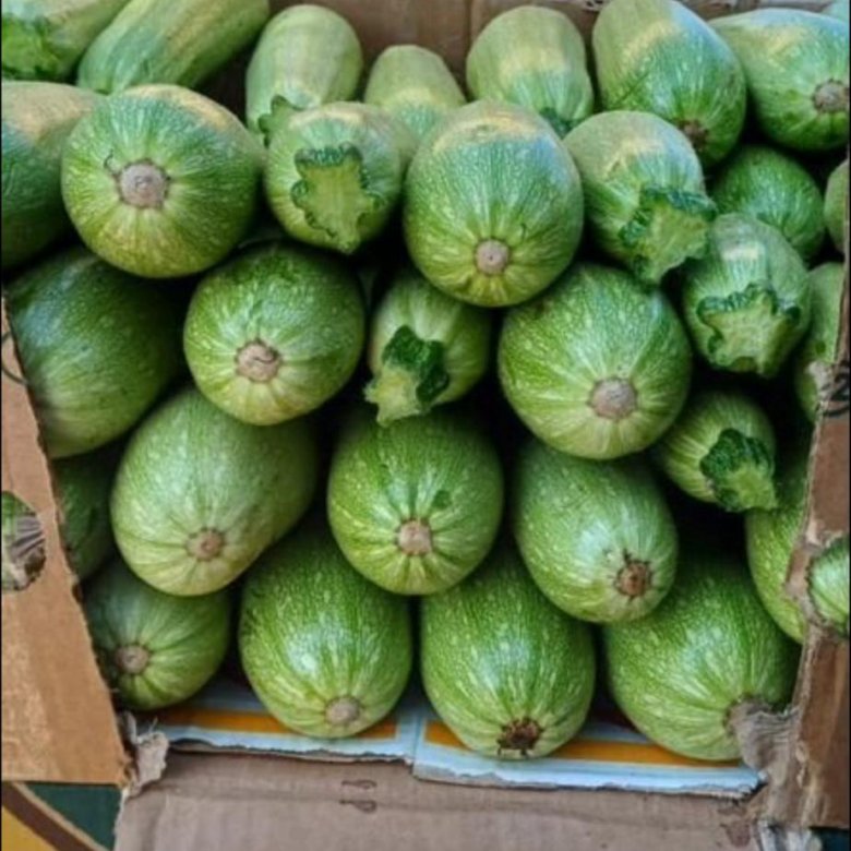 15 – купить в Великовечном, цена 15 руб., дата размещения: 21.06.2025 ...